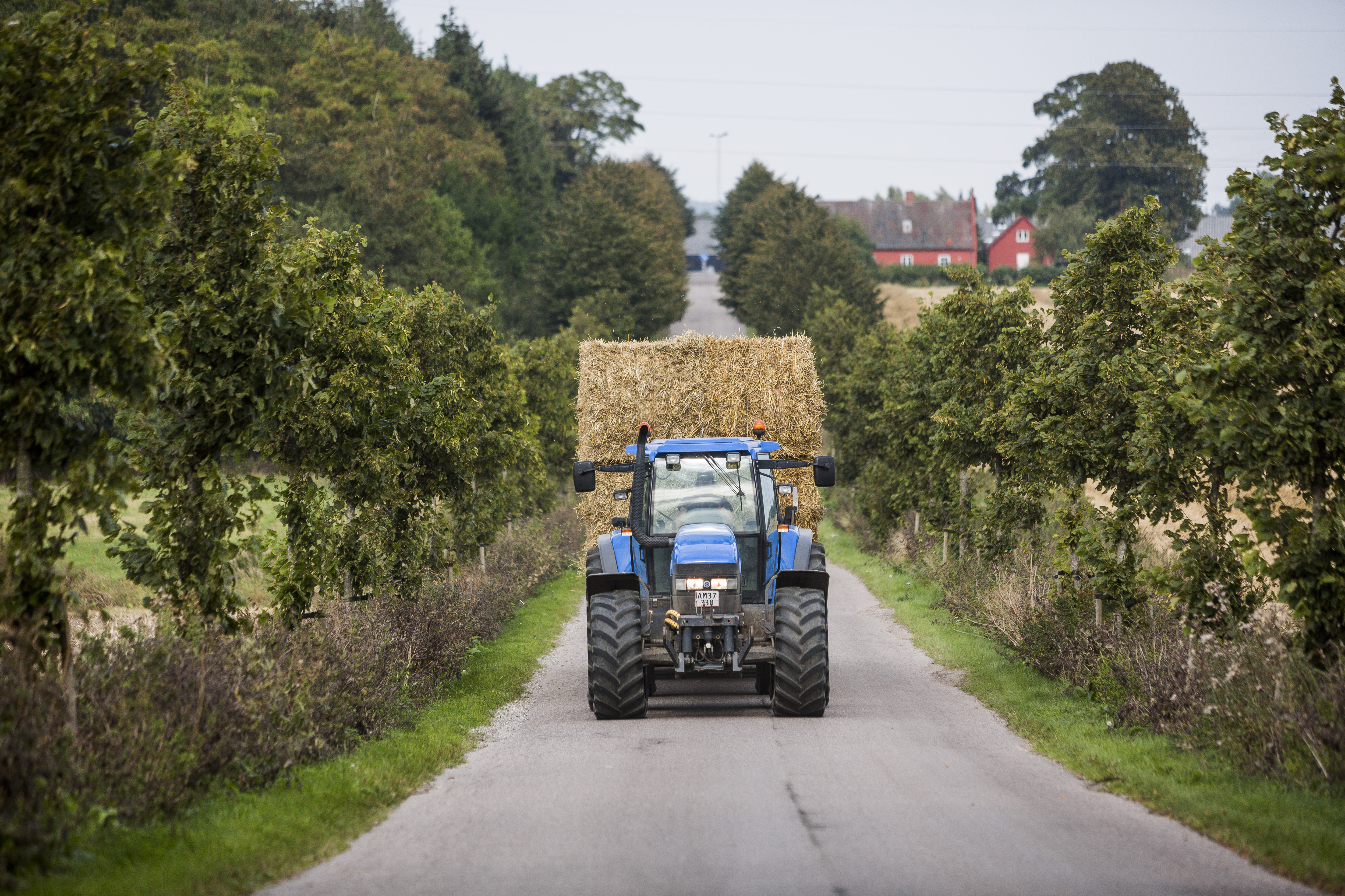 The Danish Agricultural Agency - The Largest Contract in Formpipe's History